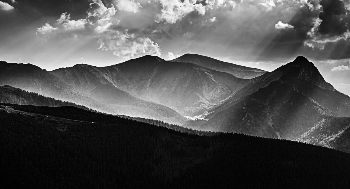 Symmetric View | Estúdio de Design Criativo